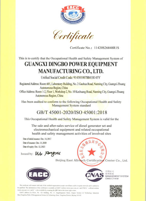 Diesel Generator Set Supplier | Dingbo Generator